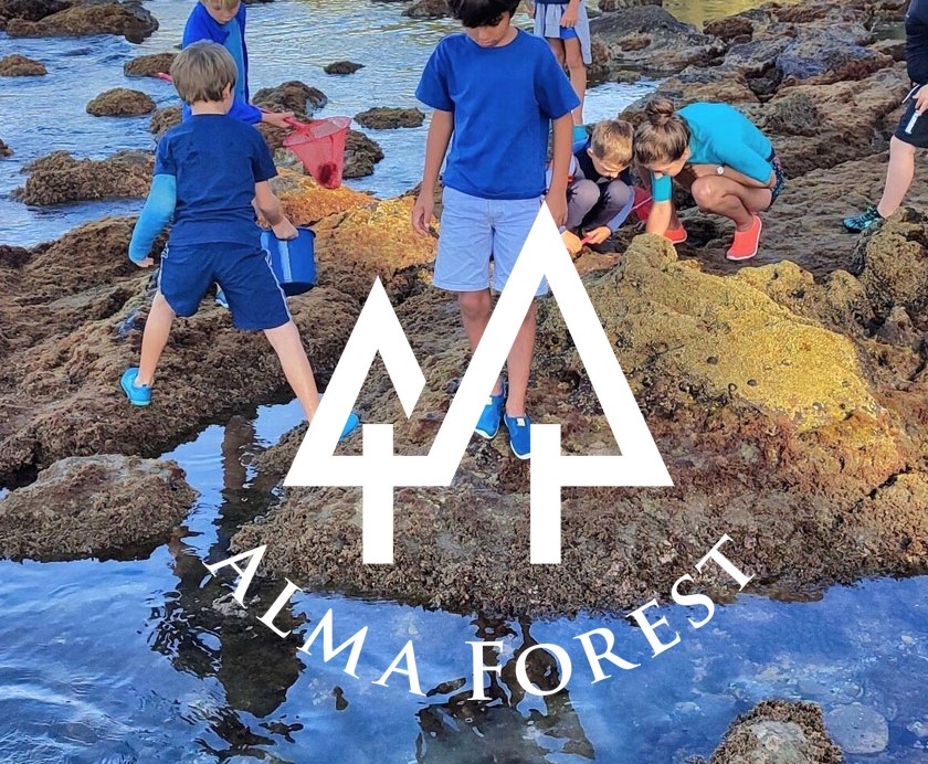 Visita Alma Forest School – Planetario Universidad de Cádiz
